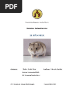 Album Biologia Ii Montessori | PDF | Plantas | Oxígeno