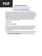 PELMATOSCOPIA, Rg. | PDF | Huella dactilar | Naturaleza