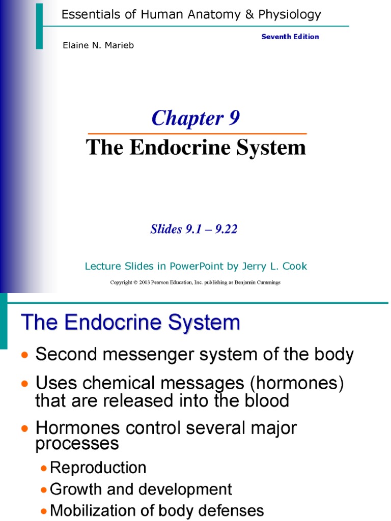 Chapter 9 - Endocrine System | PDF