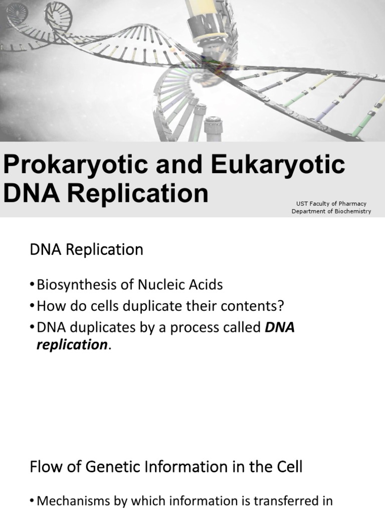 2019 Prokaryotic and Eukaryotic DNA Replication | PDF | Dna Replication ...