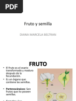 Fruto y Semilla | PDF | Plantas de jardín | Fruta