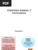 Brandt Andrews | PDF | Partería | Parto