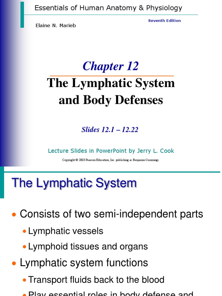 (Anatomy) Chapter 12 - Lymphatic System | PDF | Lymphatic System ...