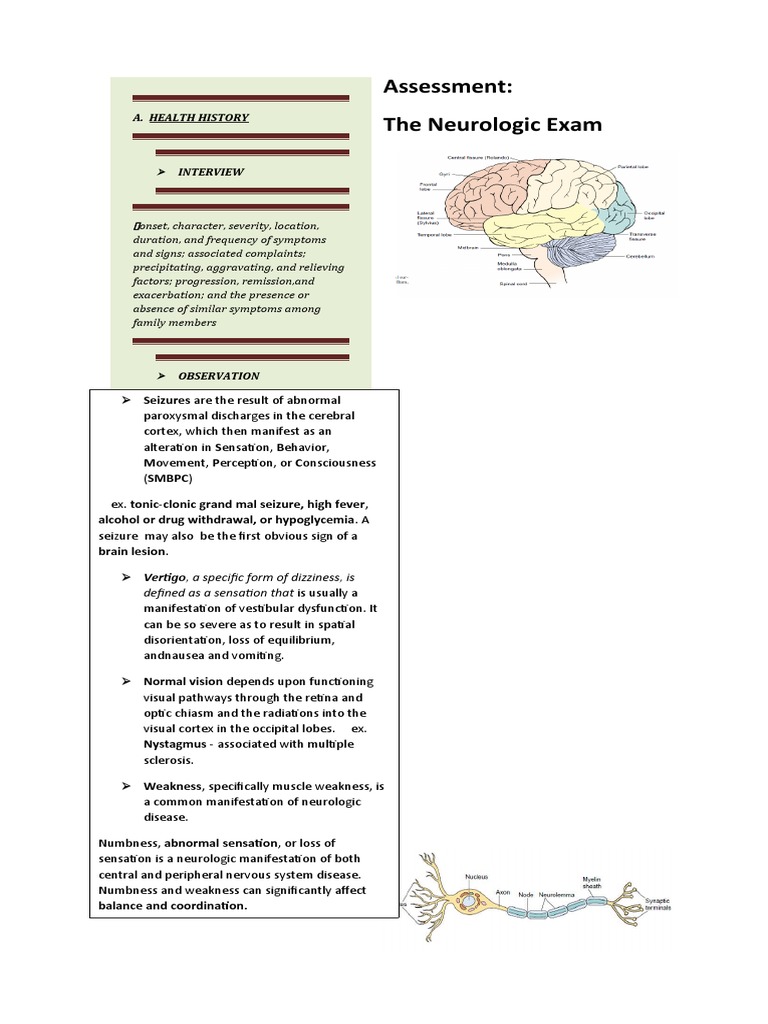 Assessment: The Neurologic Exam: Interview | PDF | Vertigo | Lung