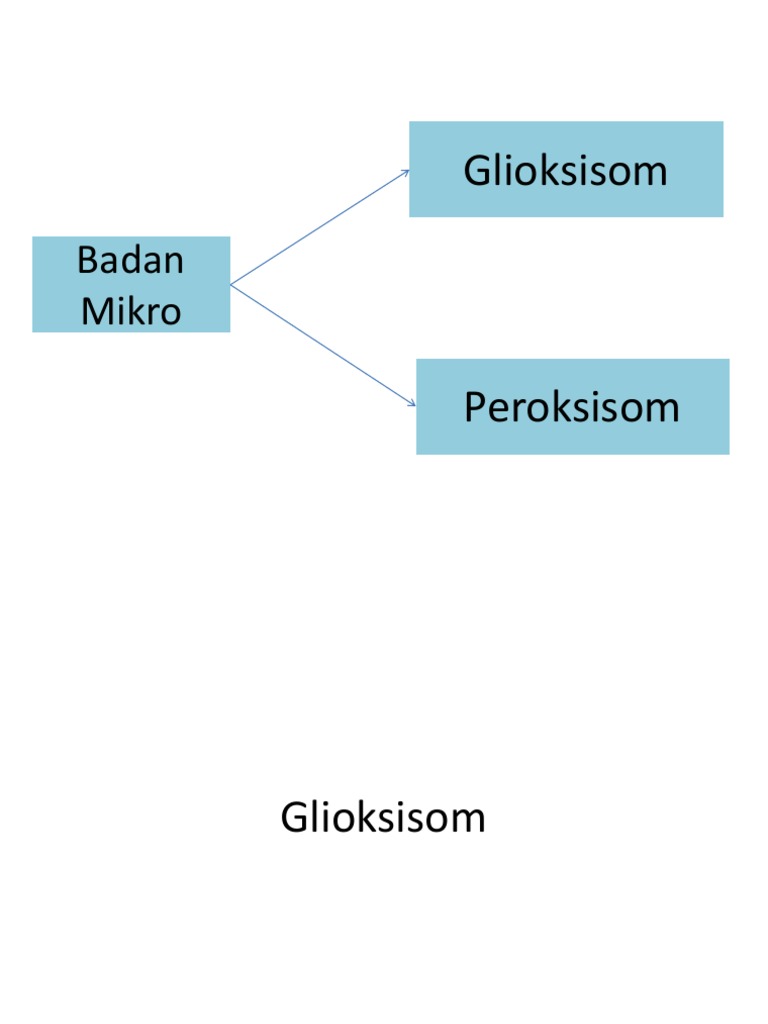 Glioksisom Dan Peroksisom | PDF | Griya & Taman | Sains & Matematika