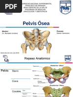 Niveles Axilares de Berg | PDF | Finanzas y dinero