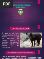 Modelo de Cuadrantes Cerebrales de Herrmann | PDF | Hemisferio cerebral ...