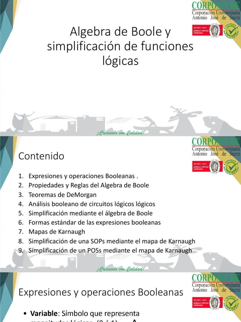 Algebra Booleana mAPAS DE KARNAUGH | PDF