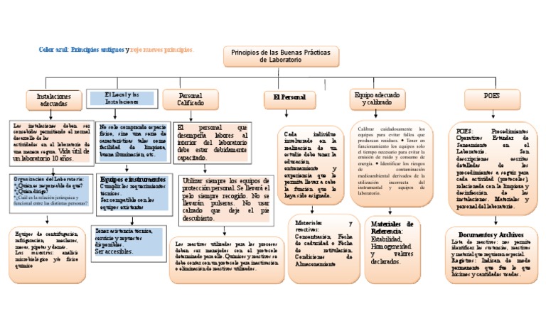 Mapa Conceptual Reconocer Los Principios Básicos de Las BPL Lacteo | PDF | Laboratorios ...