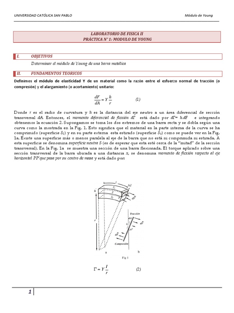 Determining the Young's Modulus of a Metal Bar: Analysis of ...