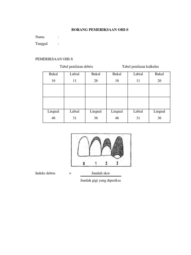 Pemeriksaan OHI S | PDF