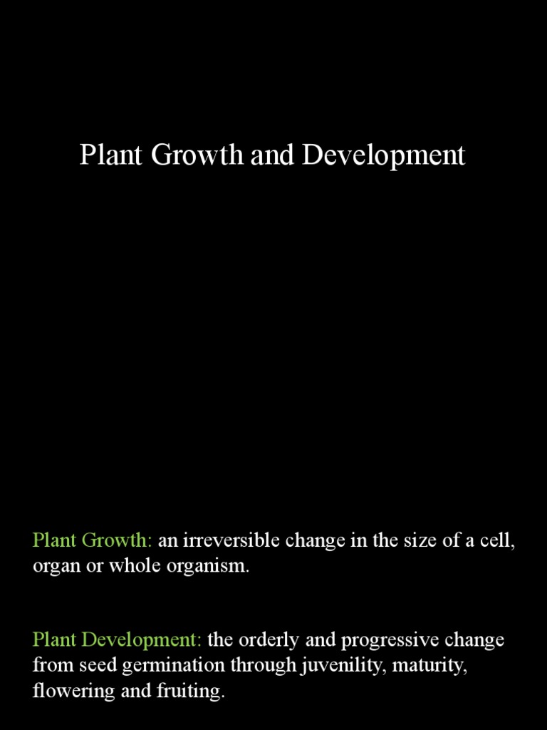 Plant Growth and Development | PDF | Seed | Root