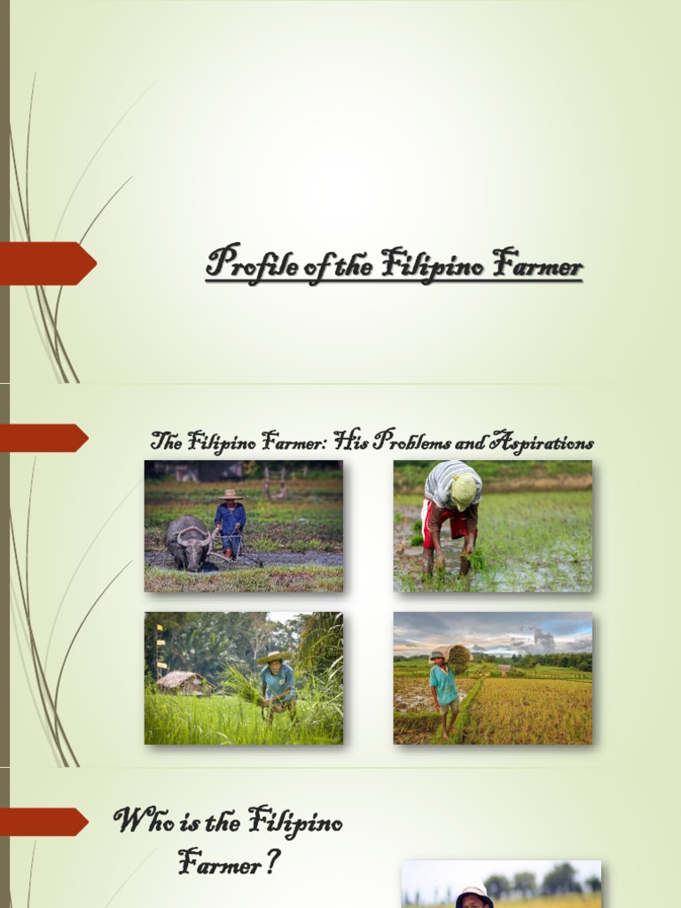 Filipino Farmers Problems