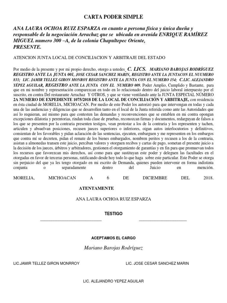 1arrachaz CARTA PODER SIMPLE | Descargar gratis PDF | Gobierno | Justicia