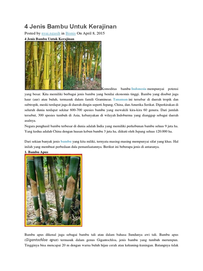 4 Jenis Bambu Untuk Kerajinan | PDF