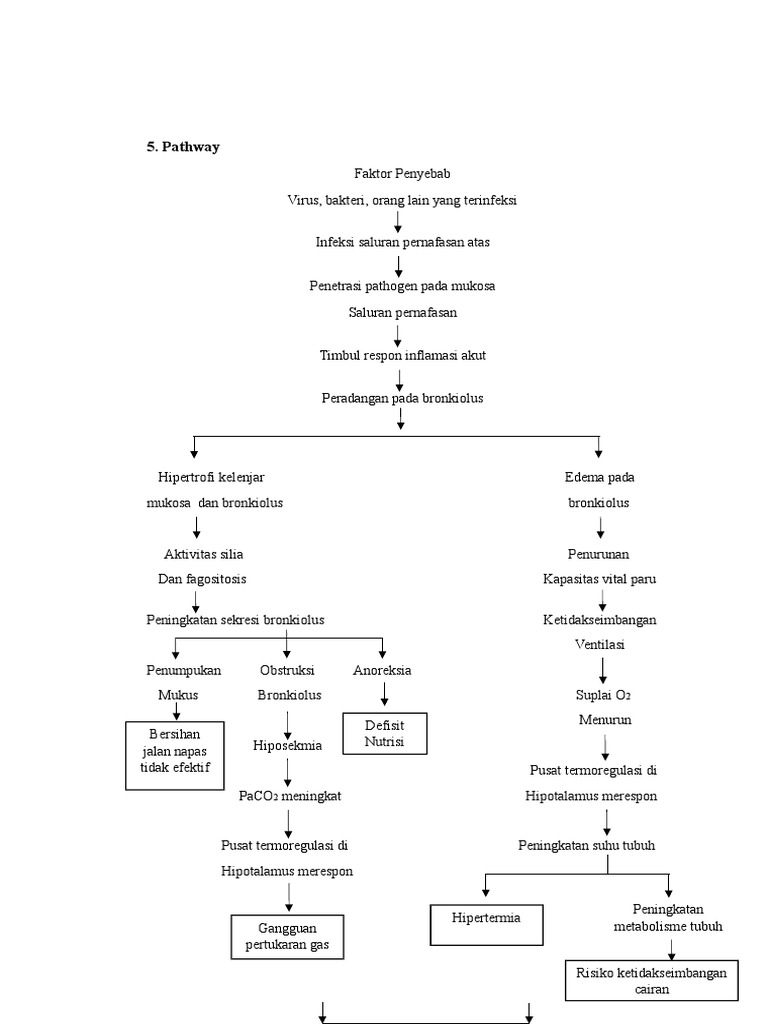 Pathway Penyebab Infeksi Saluran Pernafasan Atas | PDF