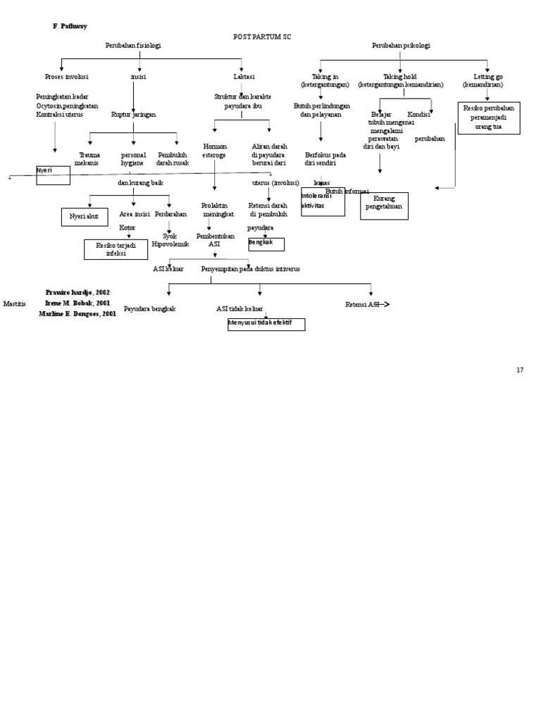 Pathway Post Partum | PDF