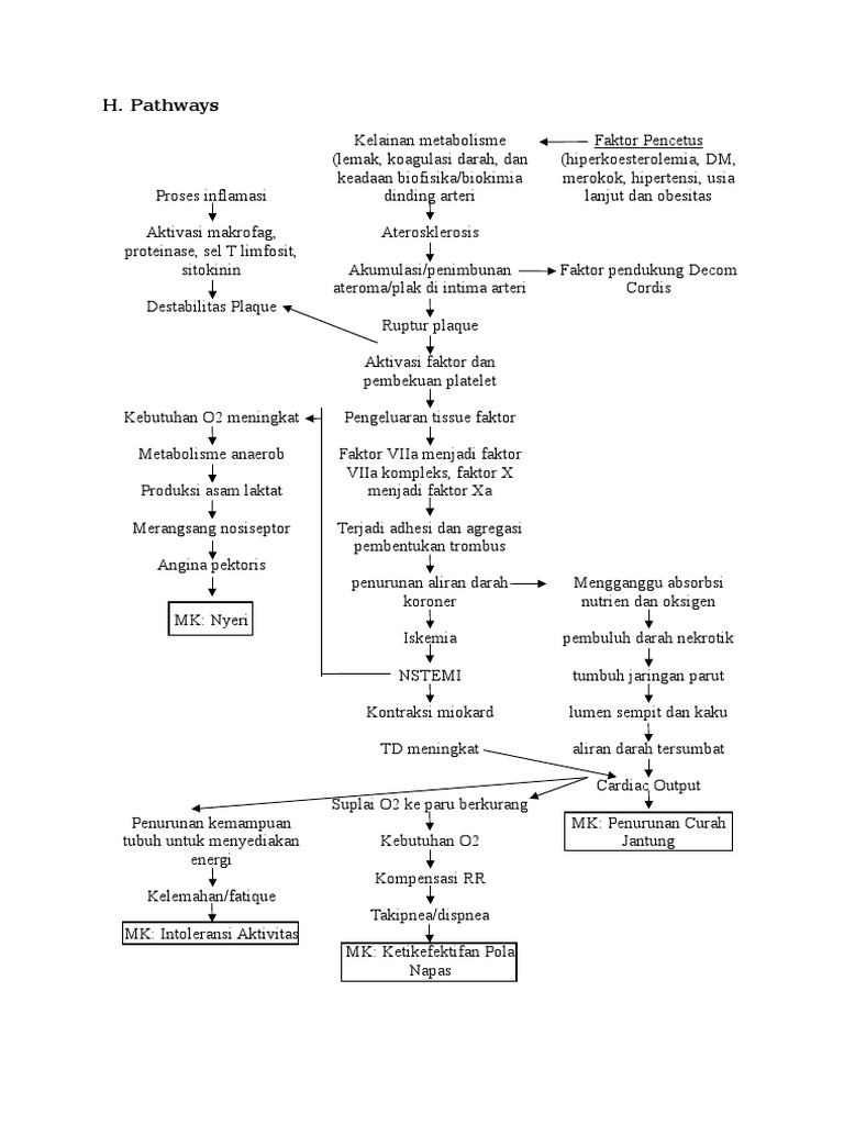 Pathway Nstemi | PDF