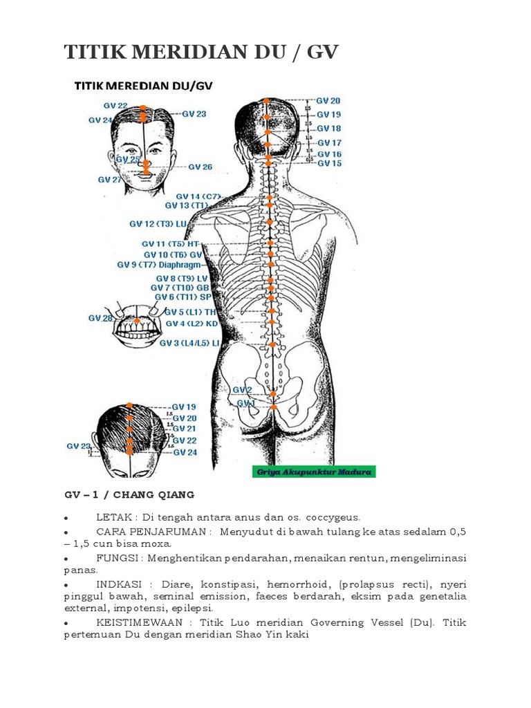 Titik Meridian Du Atau GV | PDF | Kesehatan Holistik