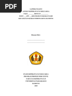 Form Sdidtk (Formulir Pemeriksaan & Register Laporan Sdidtk) | PDF