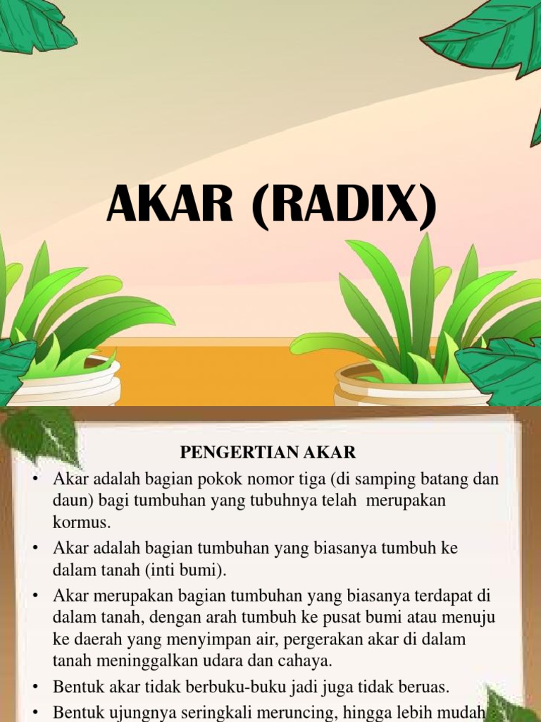 Akar (Radix) | PDF