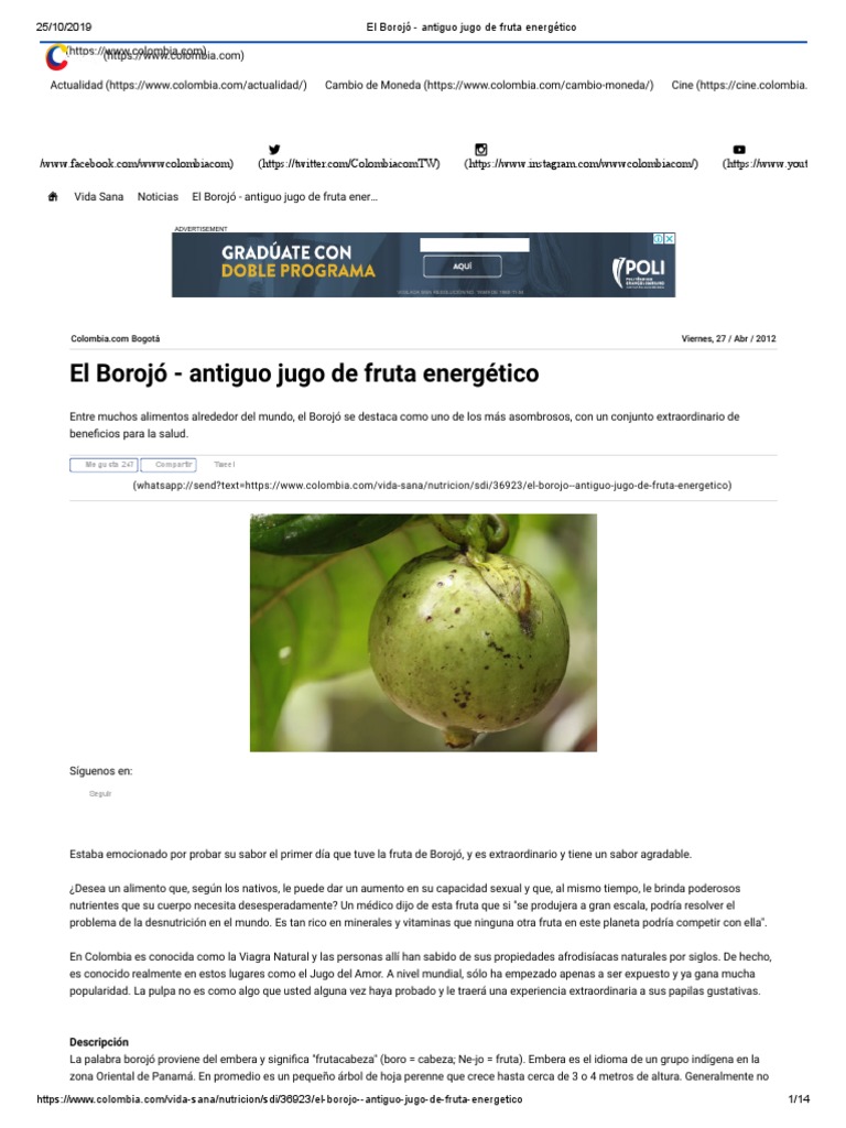 Beneficios del Borojó: Jugo Energético | PDF | Vitamina | Nutrición