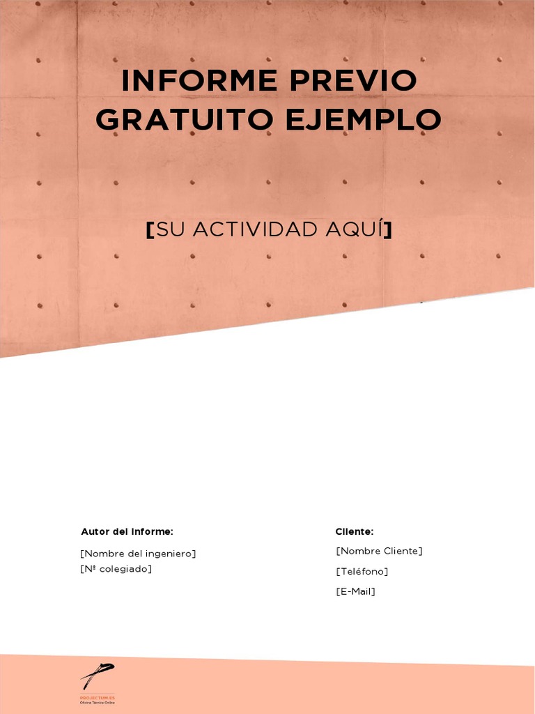 Informe Previo de Ejemplo (Projectum - Es) | PDF | Gobierno | Business