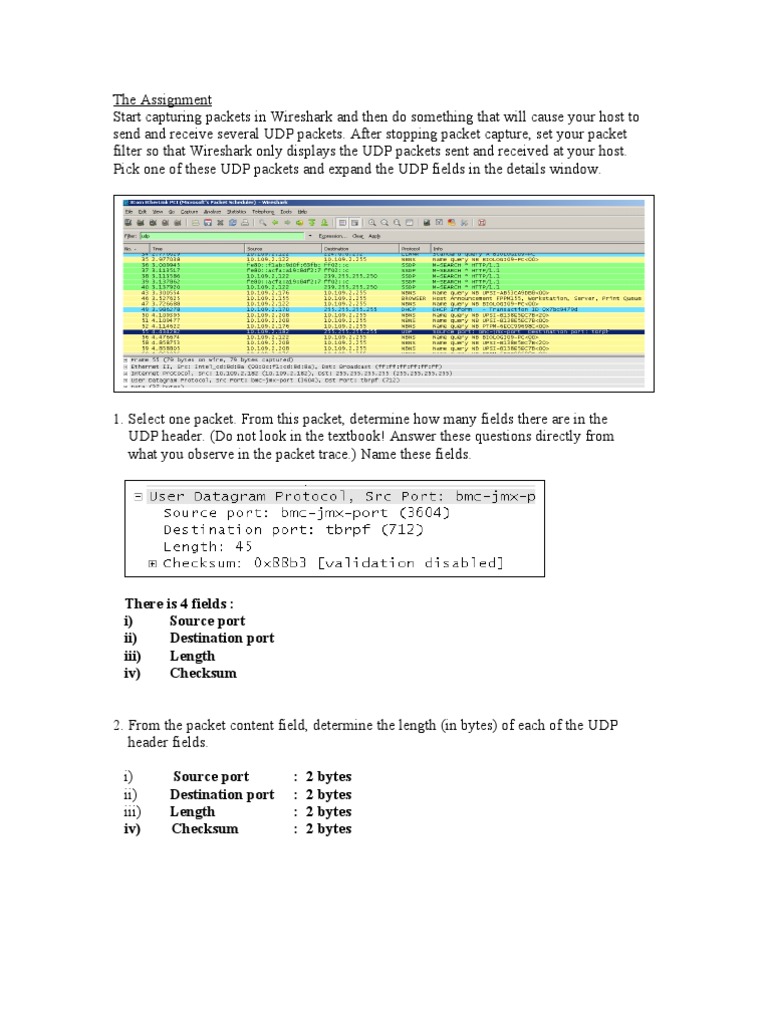 Lab UDP | PDF | Network Packet | Internet Protocols
