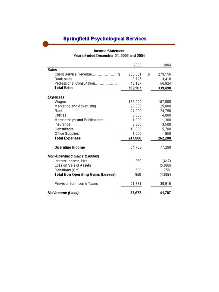 Income Statement Sample | PDF
