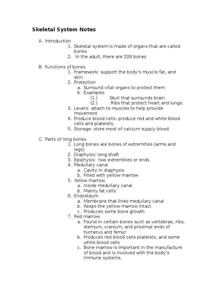 ATS-12 Skeletal System Notes JM | PDF | Skull | Vertebra