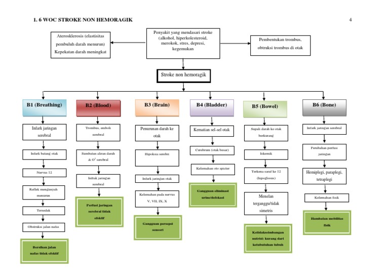 WOC Stroke Non Hemoragik B1-B6 | PDF