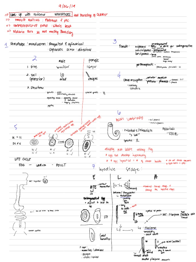 Parasitology Lecture Notes | PDF | Microbiology | Parasitology