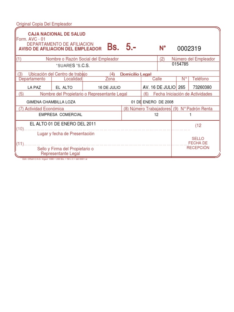 Formulario Avc 01 | PDF