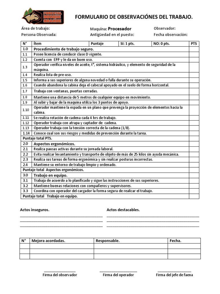 Evaluación de Seguridad y Ergonomía Laboral | PDF