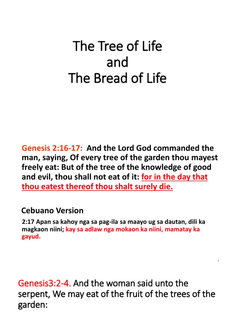 Tree and Bread of Life in Scripture | PDF | Eternal Life (Christianity ...