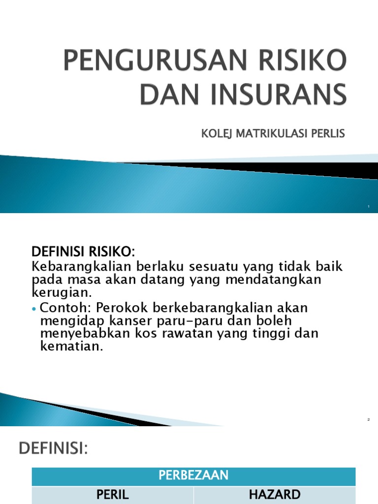 Bab 2 MNJ Pengurusan Risiko Dan Insurans | PDF