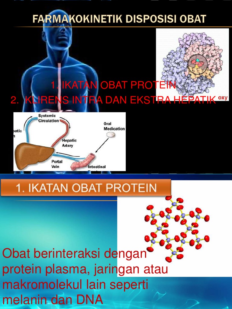 Ikatan Obat Protein | PDF