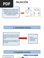 Maniobras de Palpacion de Higado, Vesicula Biliar y Estomago | PDF ...
