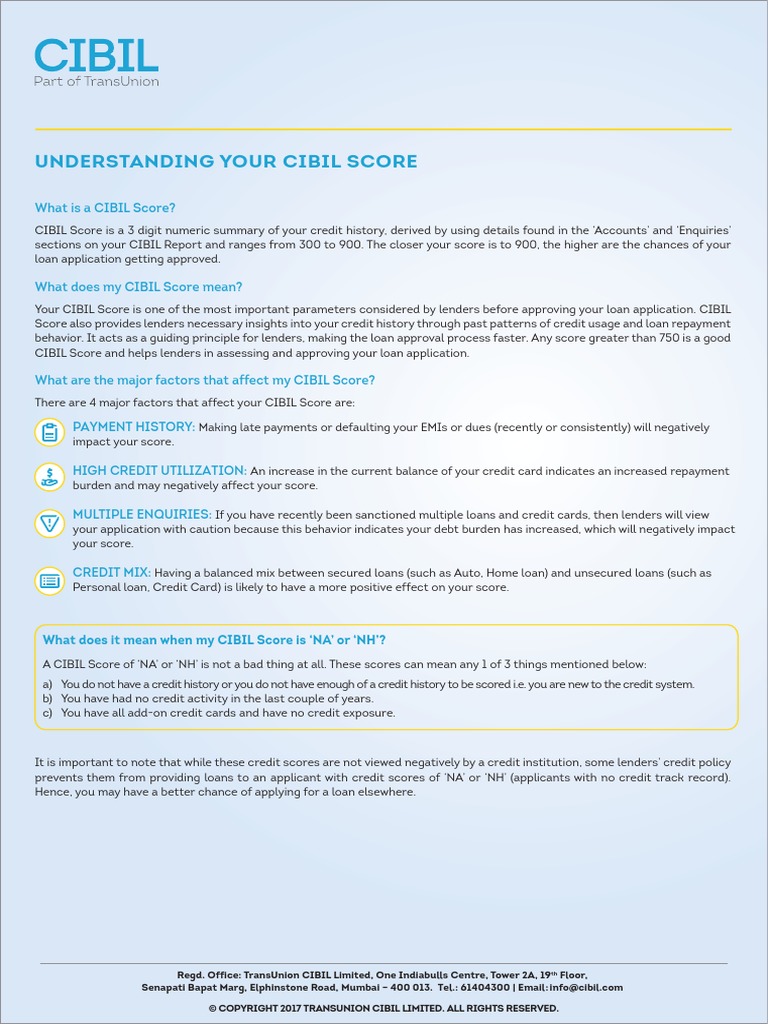 CIBIL Report Understanding | PDF | Credit History | Loans