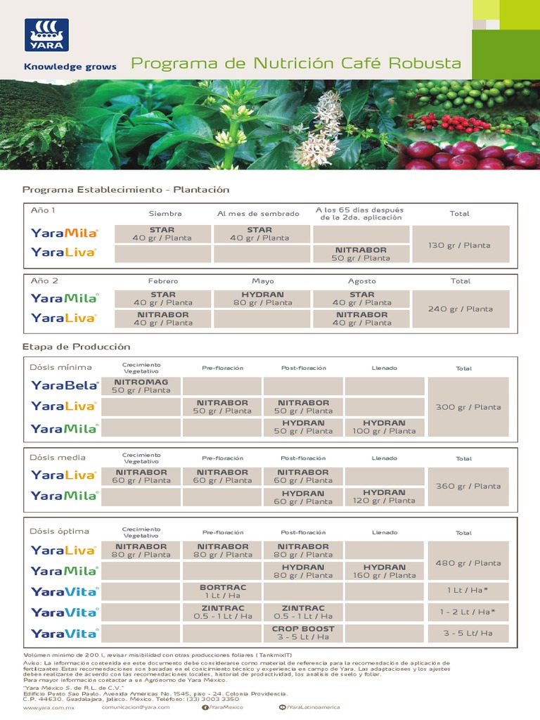 Plan de Fertilizacion | PDF | Agronomía | Horticultura y jardinería