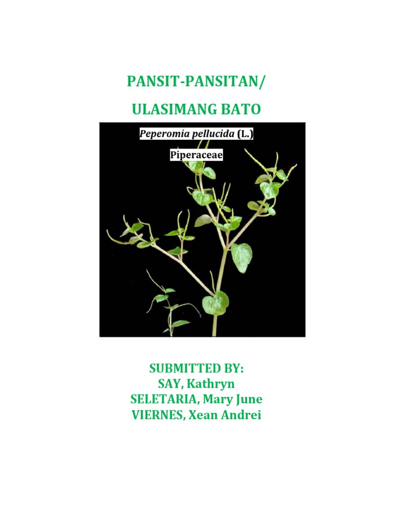 Pansit Pansitan | Download Free PDF | Caffeine | Gout