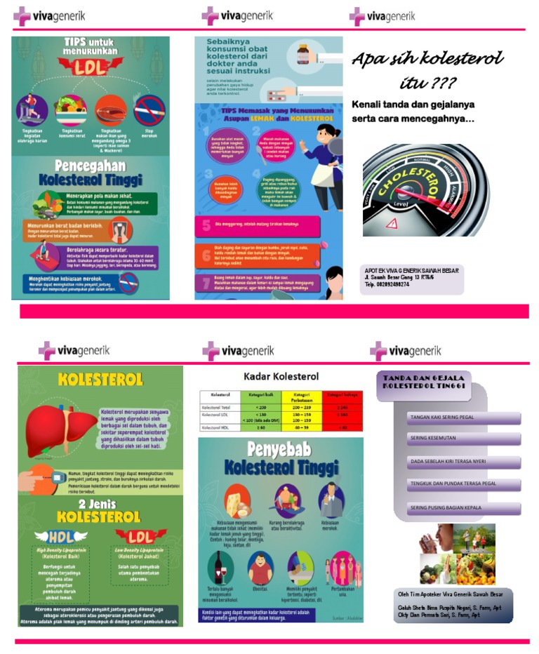 Leaflet Kolesterol | PDF