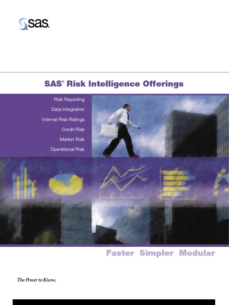 SAS Banking - Basel II Solutions | PDF | Sas (Software) | Analytics