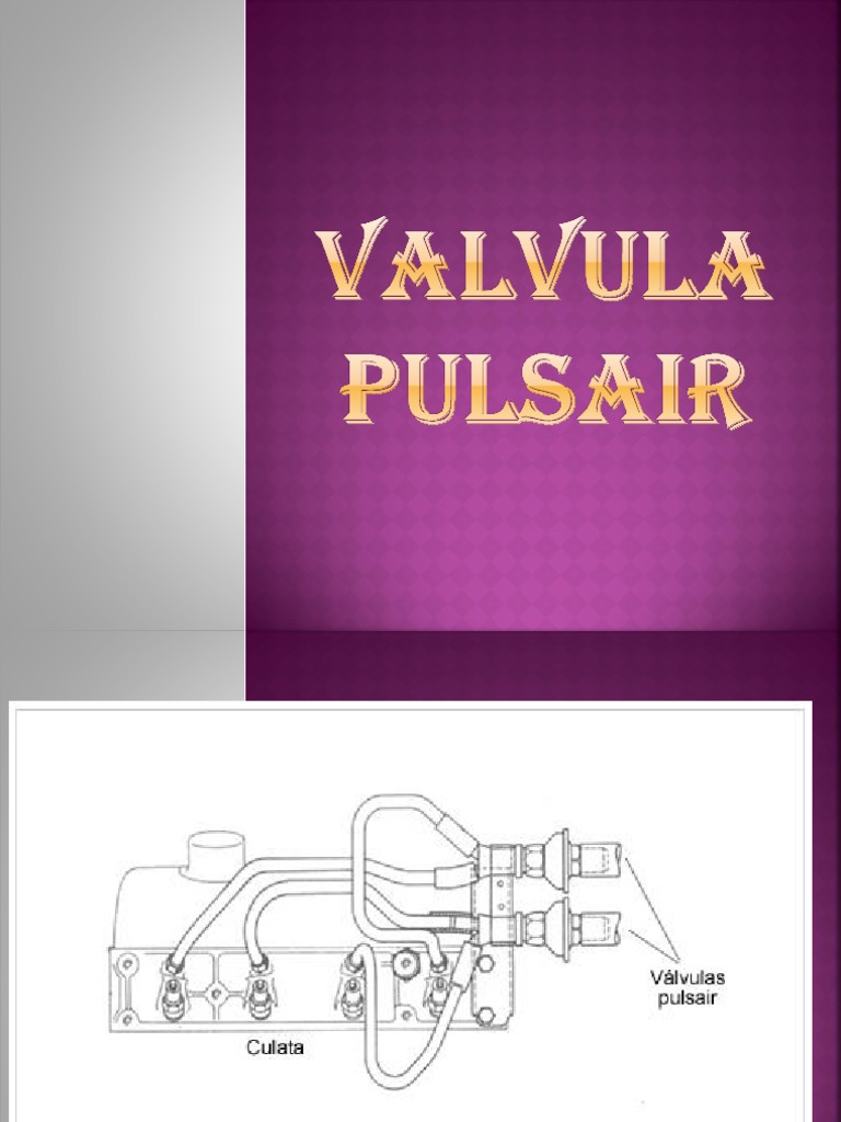 Valvula Pulsair Peter | PDF