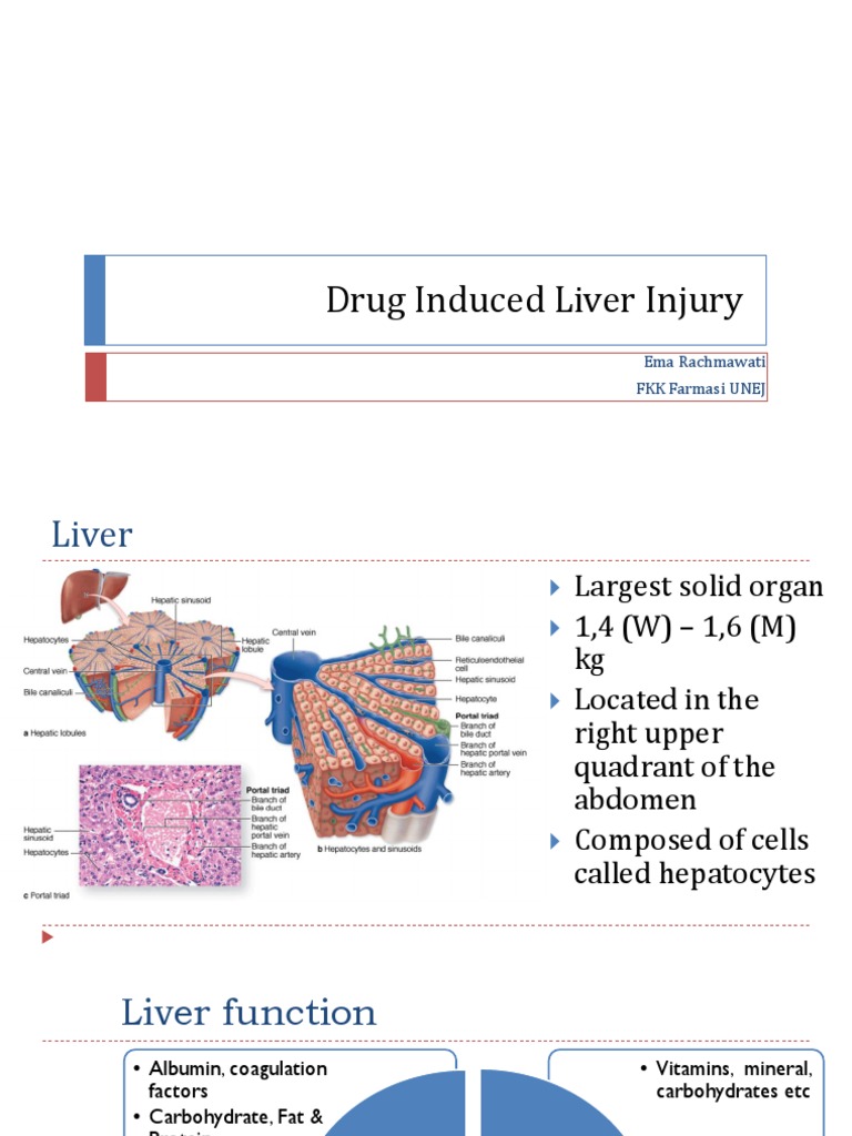 Drug Induced Liver Injury | PDF | Hepatocyte | Liver