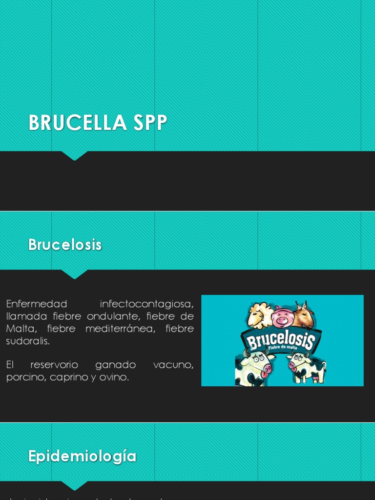 Brucella SPP - Ok | PDF | Biología | Epidemiología