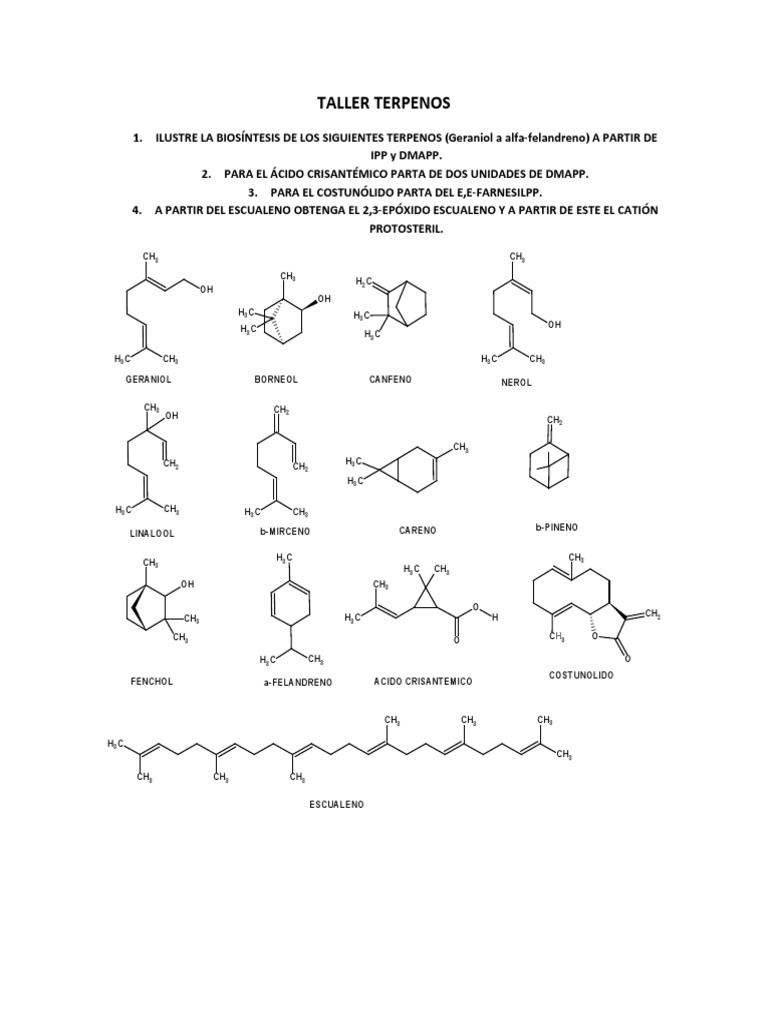 Taller Terpenos Pdf Química Orgánica Productos Quimicos