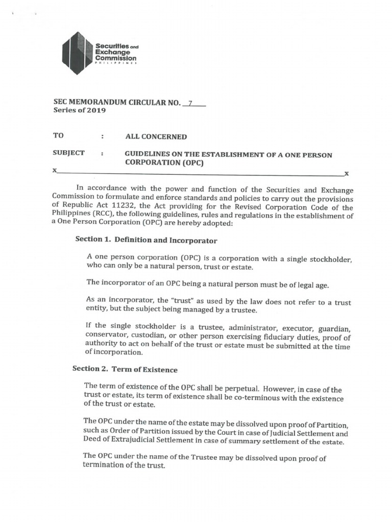 One Person Corporation | PDF