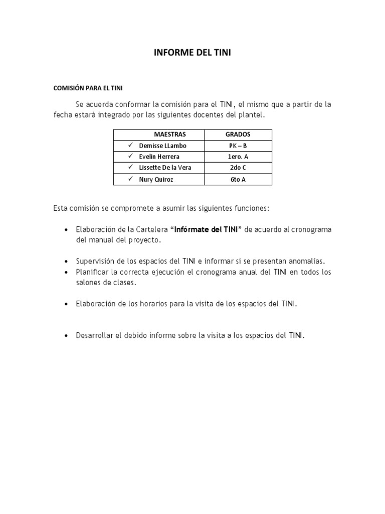 Informe Del Tini | PDF