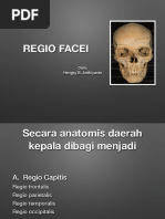 Pembagian Regio Wajah dalam Anatomi | PDF
